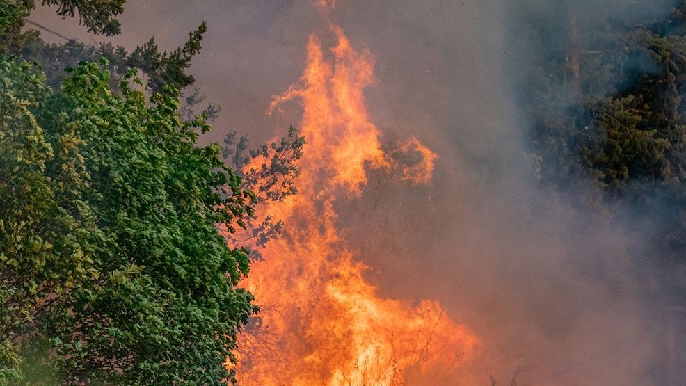ODF declares fire season across Oregon