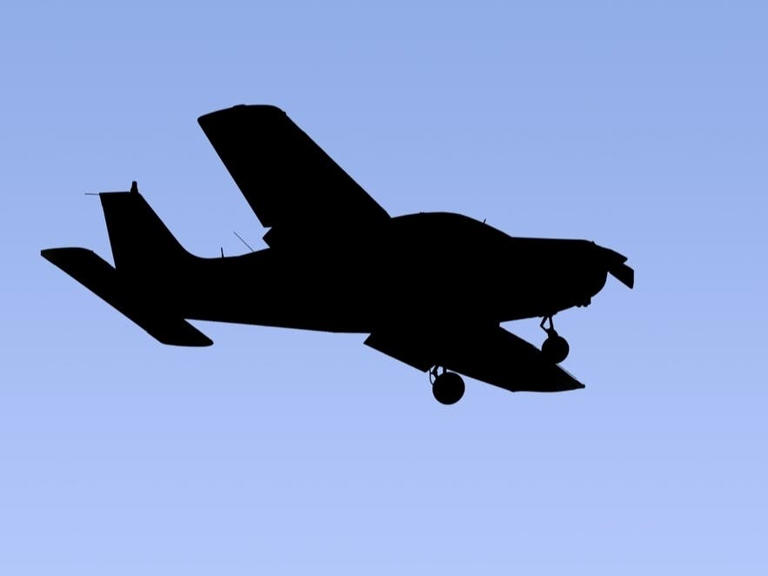 Airborne banner above World Cup match in NJ advocates for temp workers