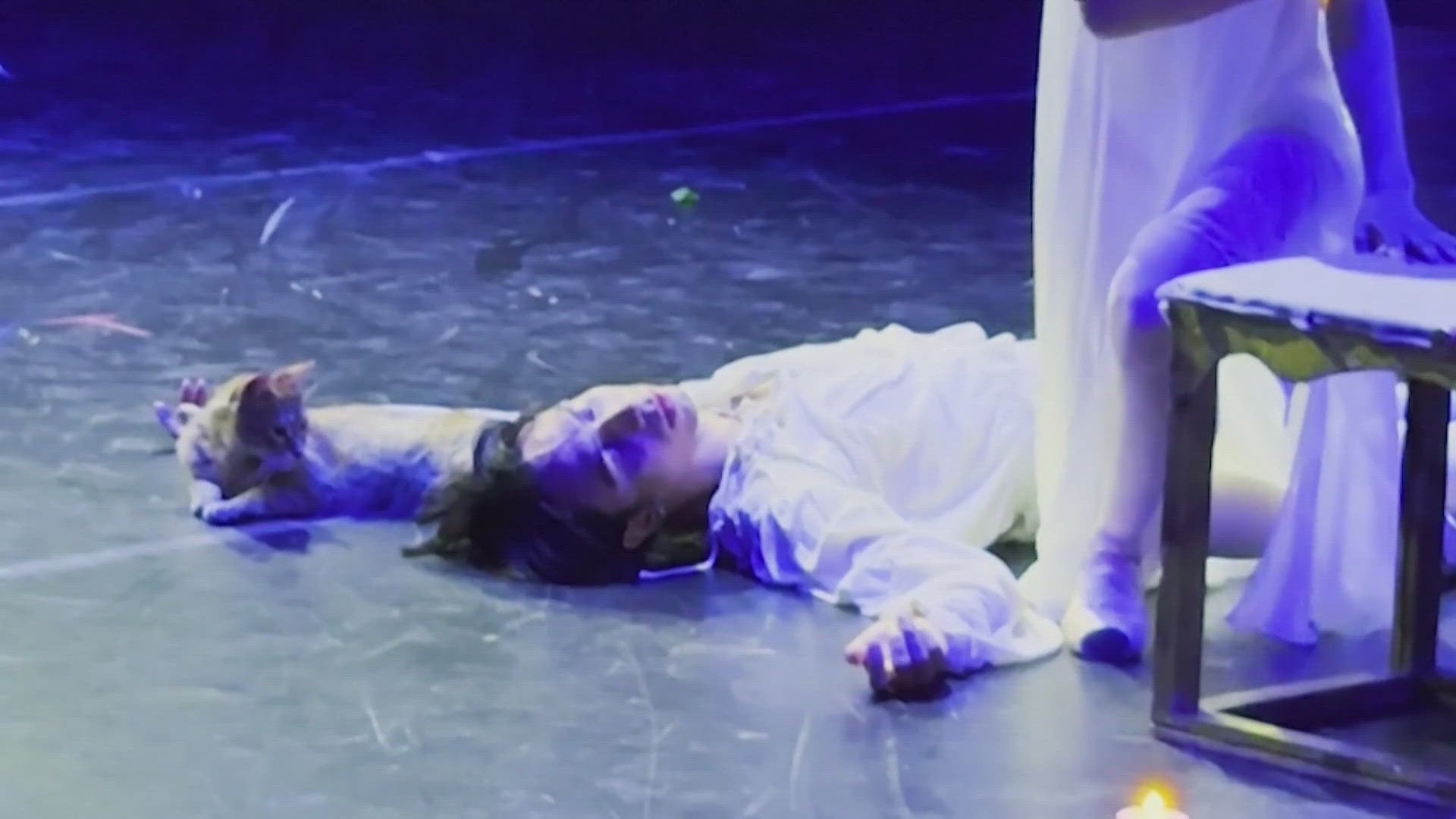 Cat interrupts Romeo and Juliet performance