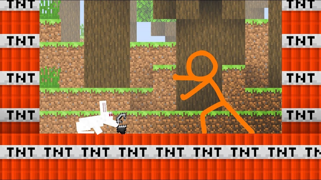 The dolphin kingdom: Killer bunny attack