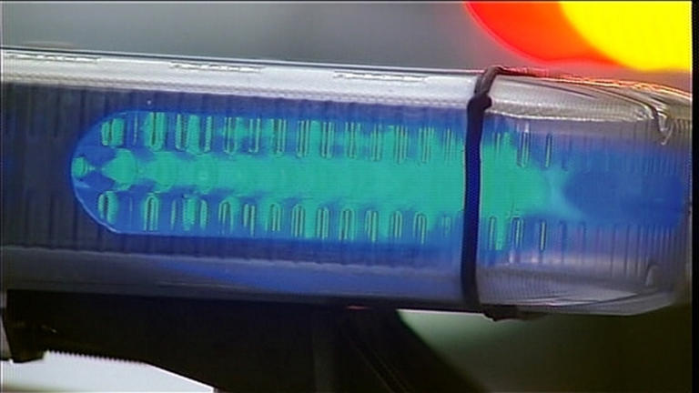 Juvenile killed after being hit by SUV on Dallas freeway