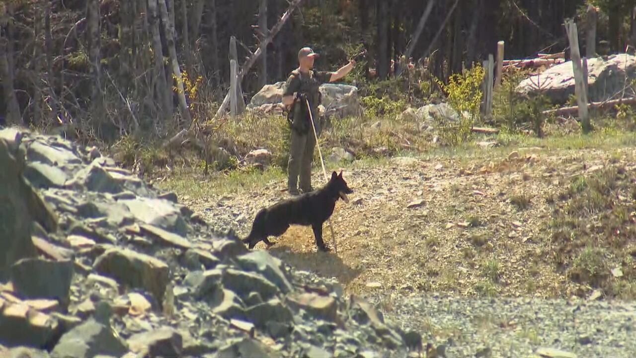 Child missing in Paradise area has been found