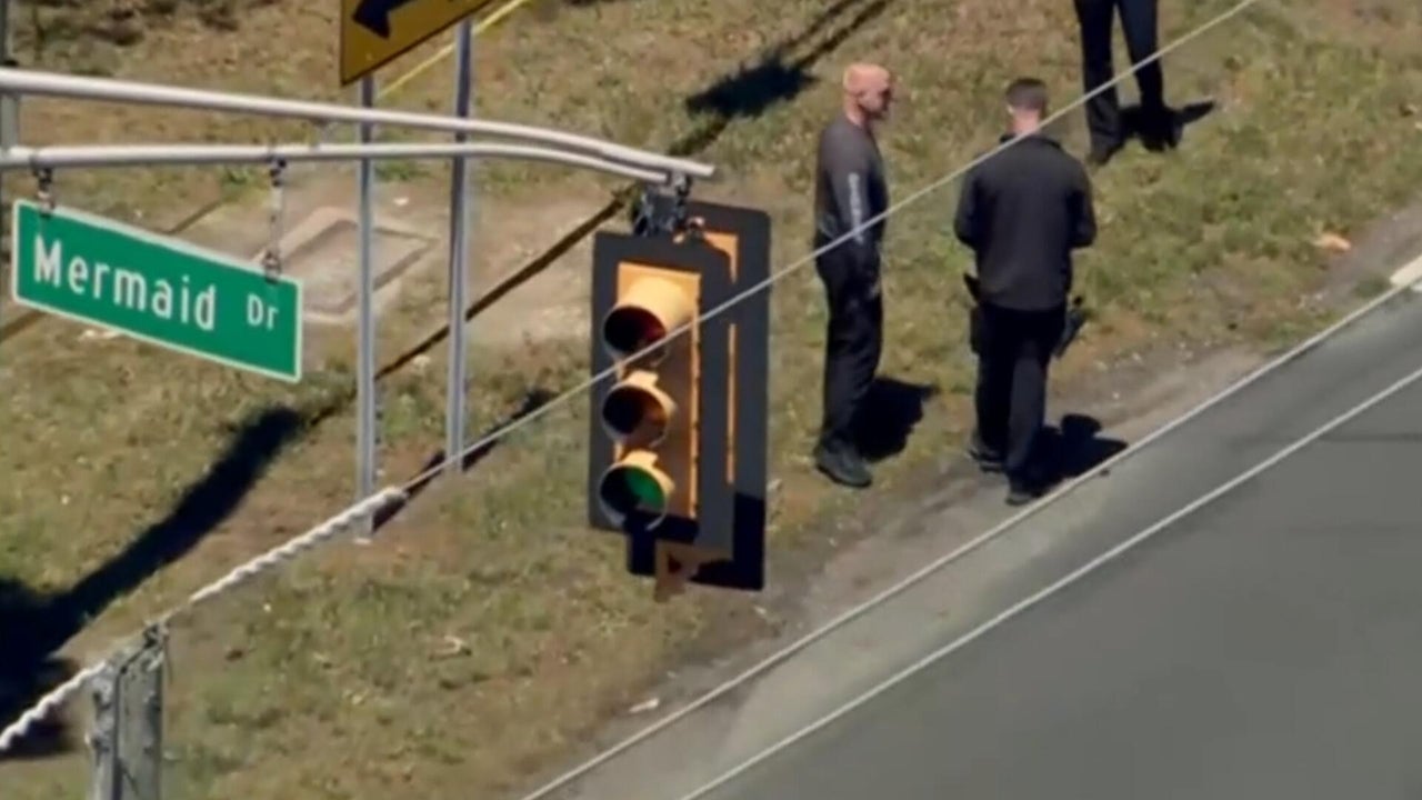 ICE agent allegedly struck by car in New Jersey
