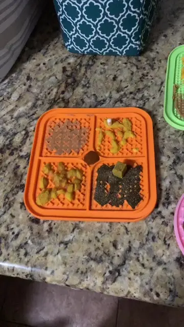 My dogs try frozen licky mats for the first time