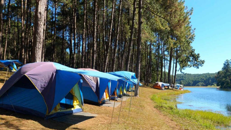 Record numbers of Americans are camping this summer, and most don't ...