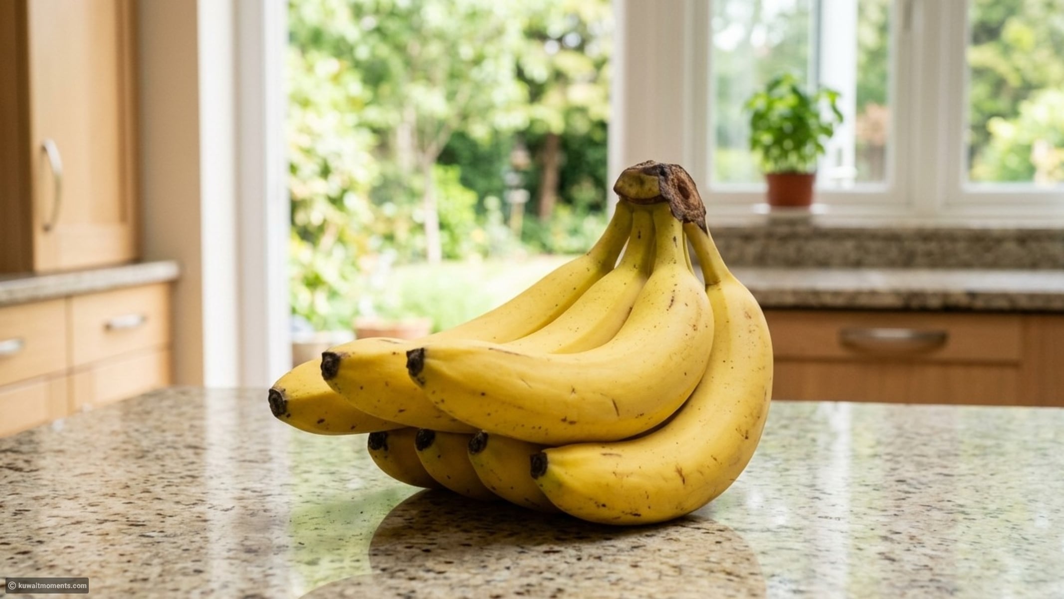 10 science facts that are weird, wild and actually true