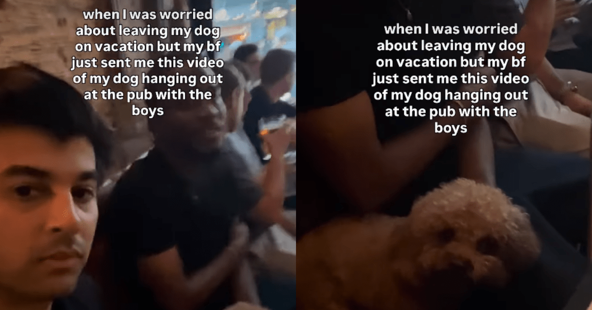 Dog enjoys quality boys' time after mom leaves him to go on vacation