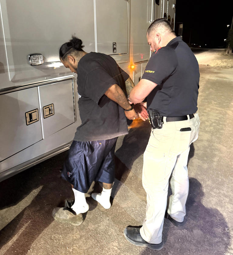 El Paso County man arrested, 35 dogs, cats and pigs removed from home