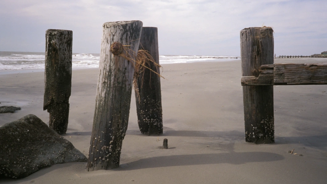 Folly Beach: History, culture, and coastal life