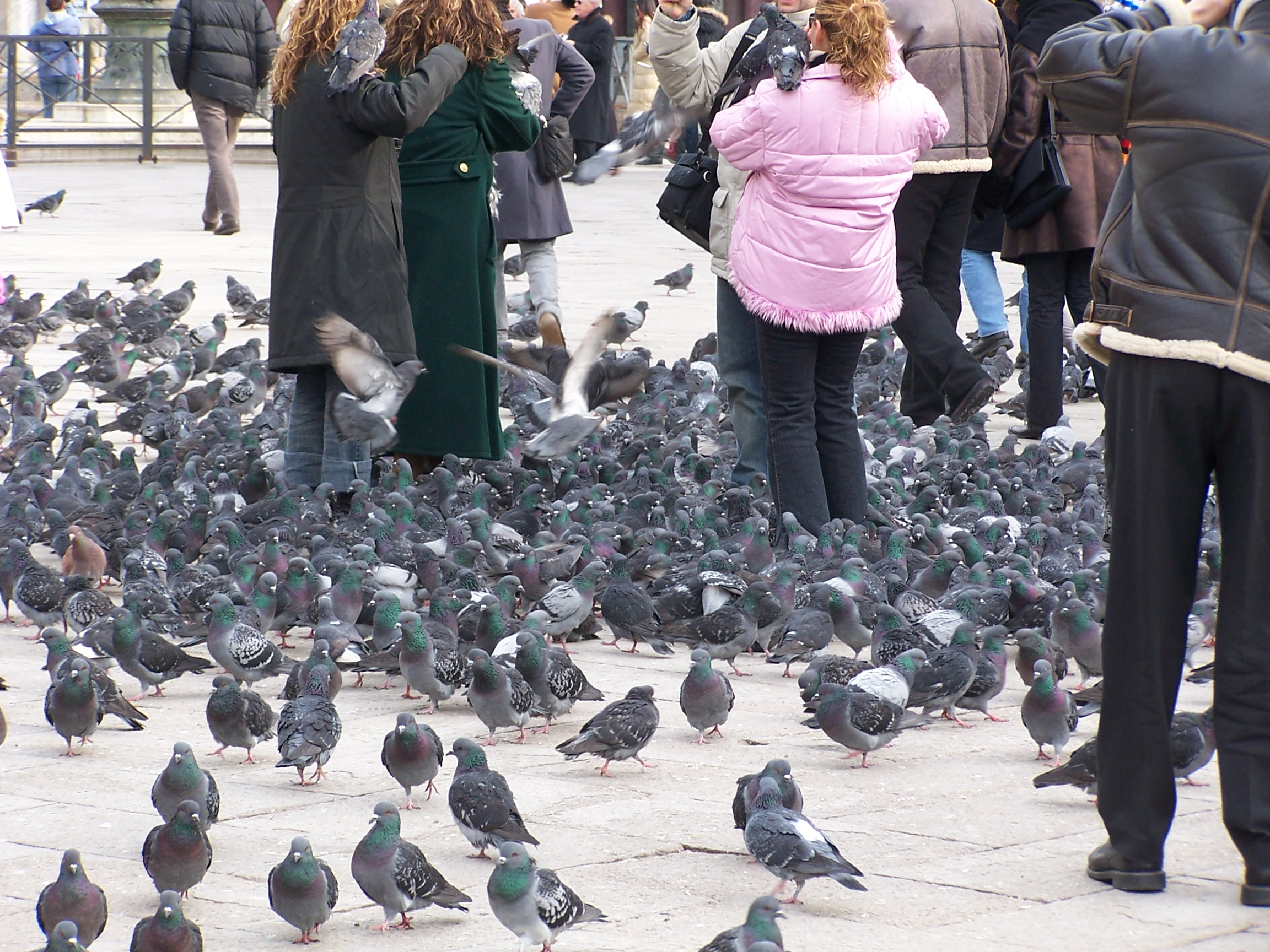 10 everyday things that are illegal in other countries — and could land ...