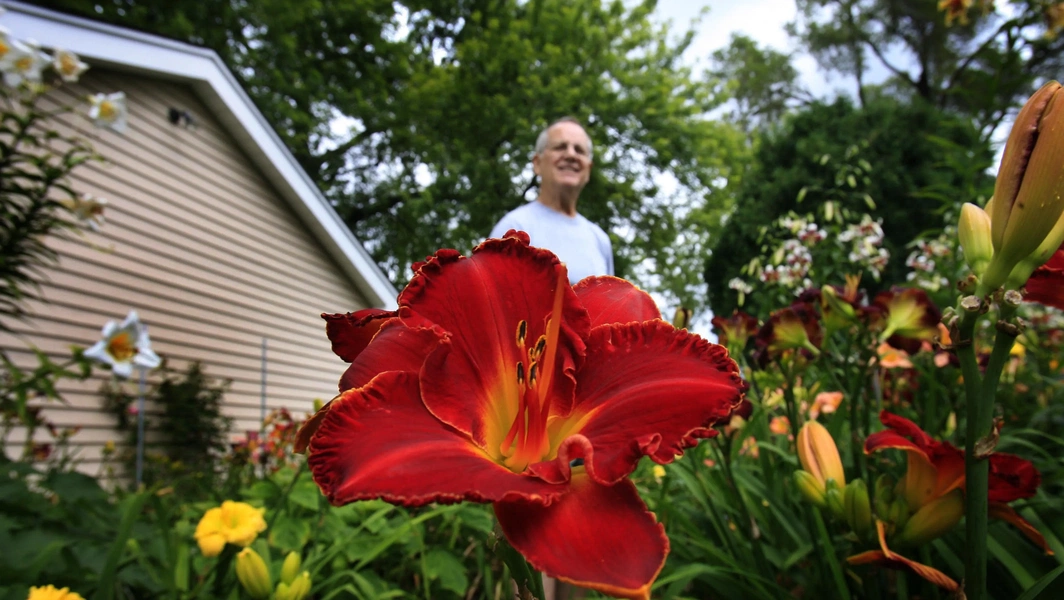 13 budget-friendly landscaping ideas for big impact