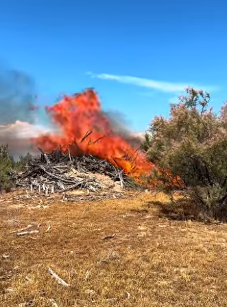 Brush fire starts while farmer cuts wheat field