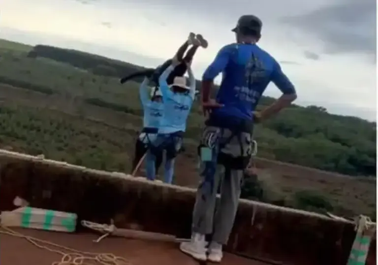 Enfermeira que atendeu Maria Eduarda descreve diálogo emocionado após ...