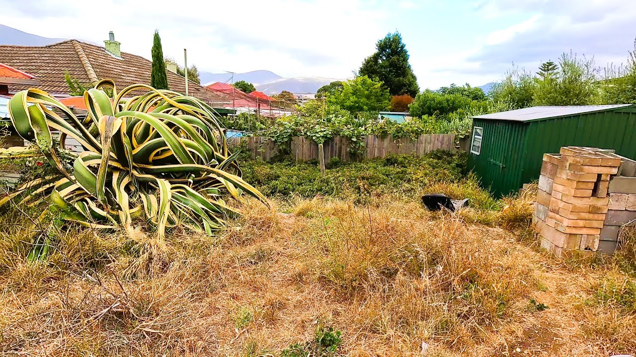 The agave from hell: Dispatching a one tonne beast in garden makeover!