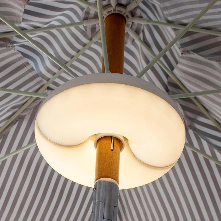 Next is selling the smartest wireless outdoor light that turns a garden ...