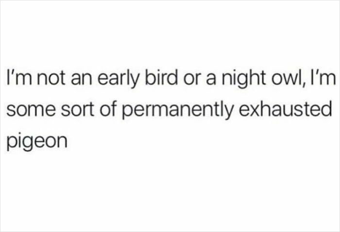 70 funny internet memes that made today a little bit brighter