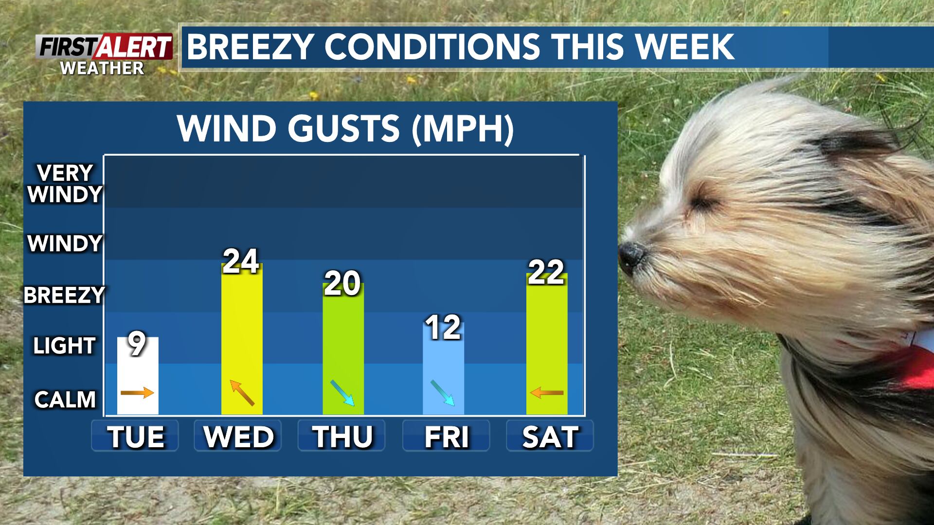 Breezy, cool & wet conditions on tap for central Wisconsin most of the ...