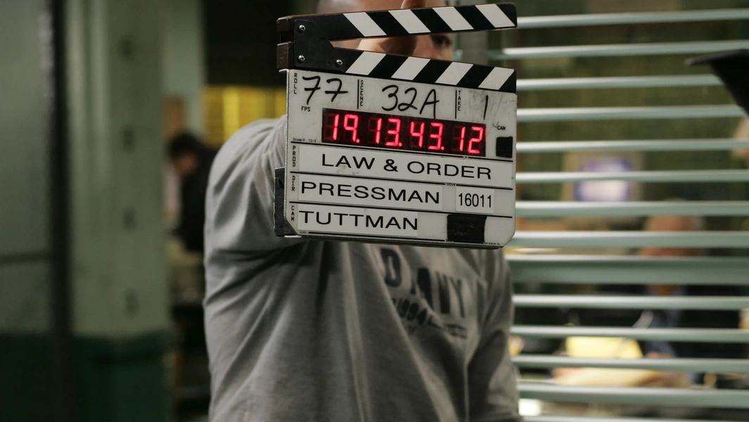 5 notable guest stars on Law & Order