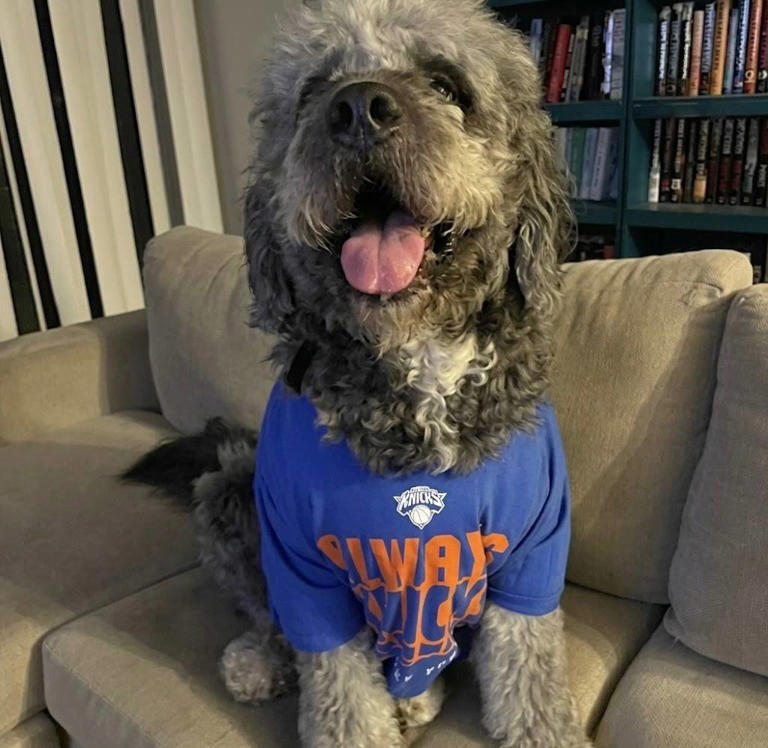 LAPD dog shooting update: Grief as woman hugs family dog after Knicks ...