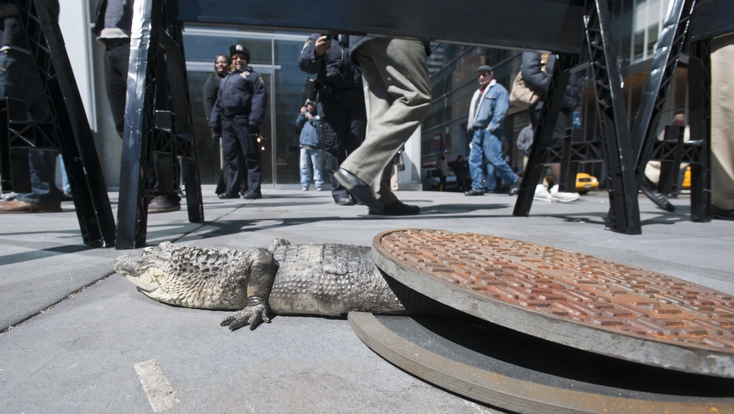 5 chilling urban legends with real-life origins