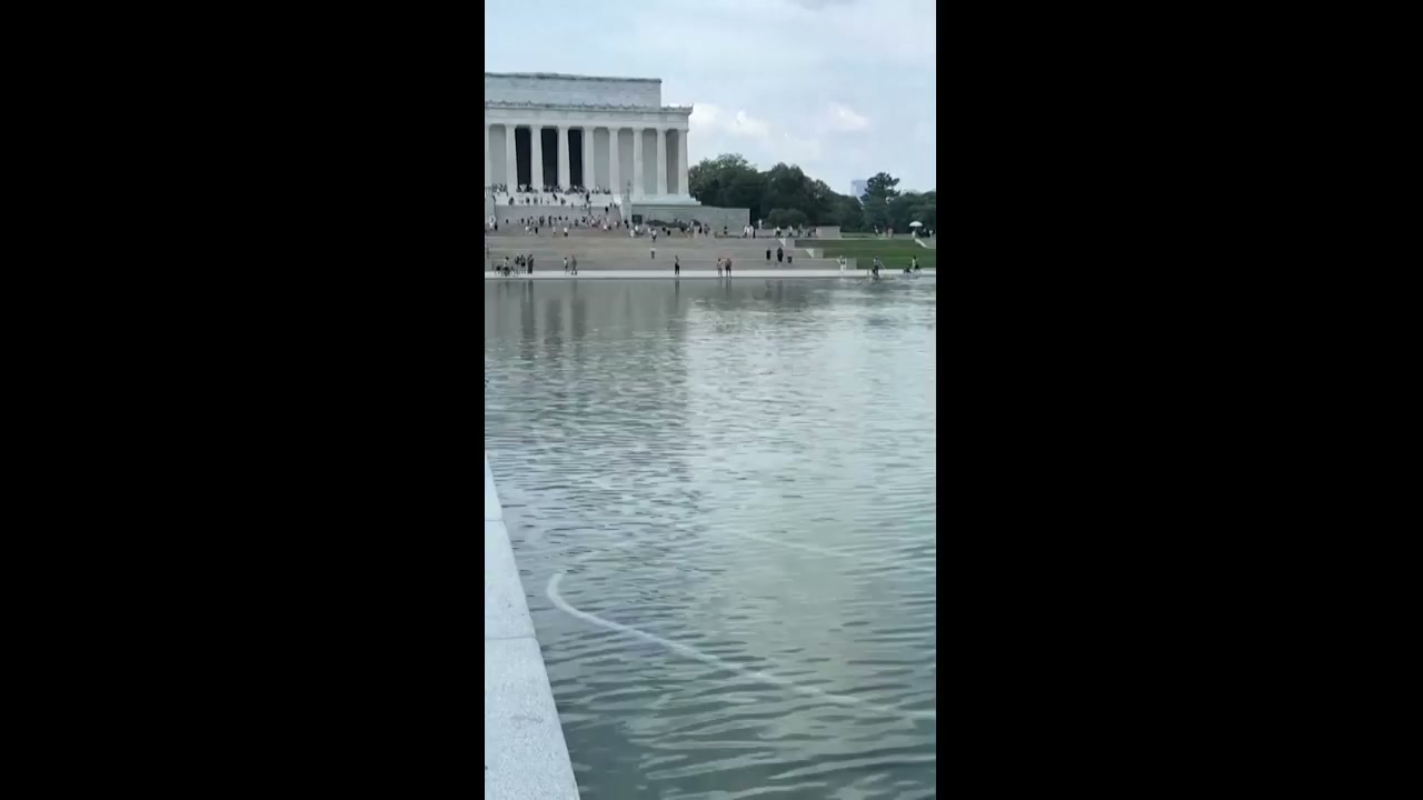 'American Flag Blue' reflecting pool turns green after algae