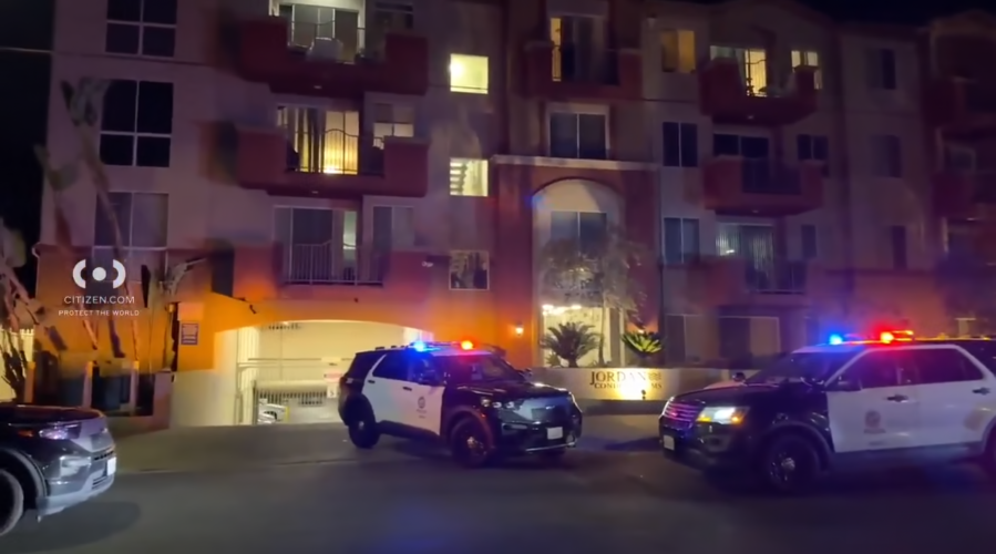 ‘Screaming woman’ call leads to police fatally shooting a dog in Canoga ...