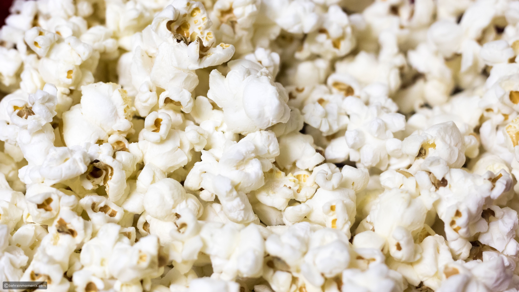 Why this animal smells like popcorn