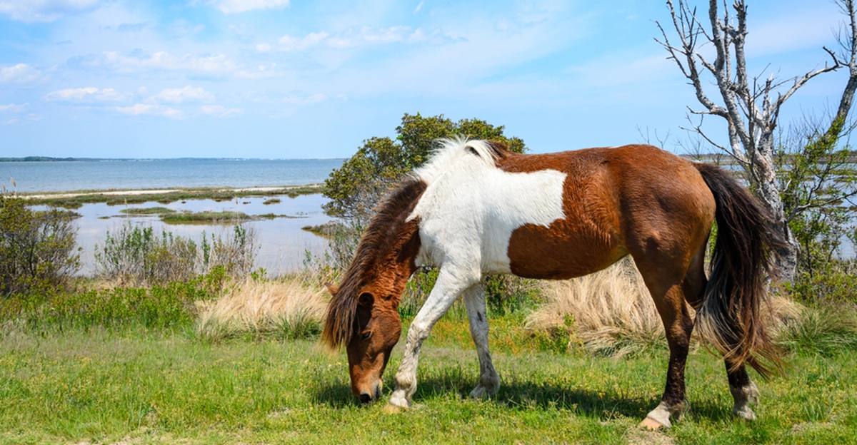 12 summer nature trips where kids can see animals in the wild