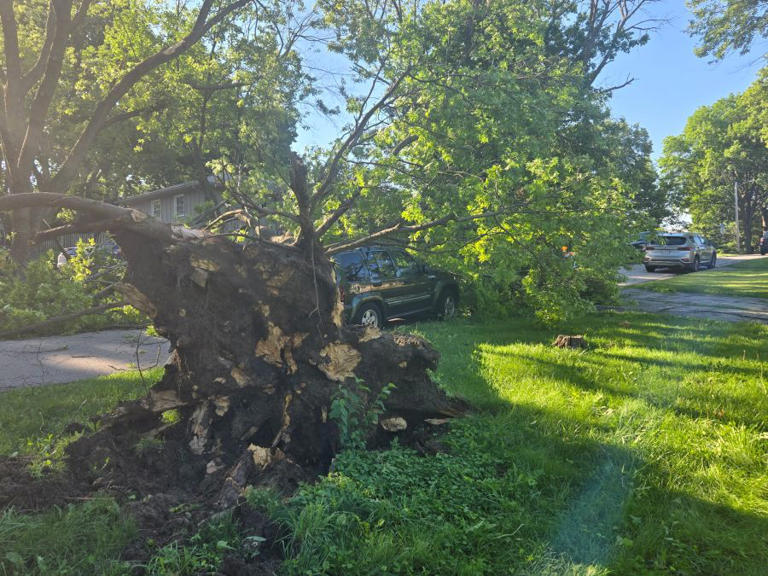Kansas City creates several storm debris drop-off locations after ...