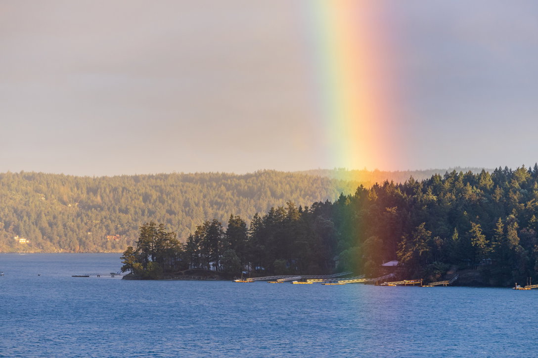 Pride Month rainbow comes out to mock Tr*mp’s latest loss