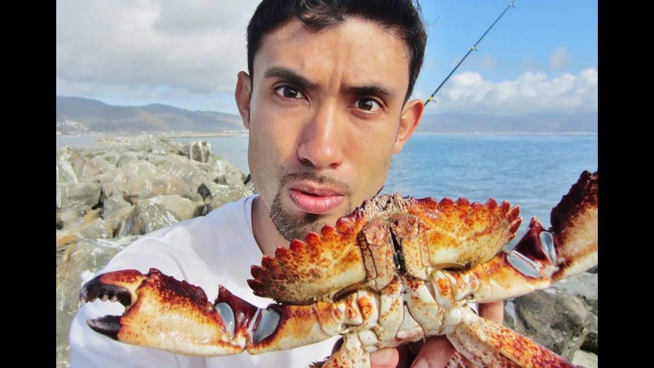 Crab snare fishing for huge rock crabs in Half Moon Bay, jetty