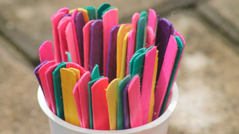 You only need popsicle sticks and a few Dollar Tree finds to make some ...