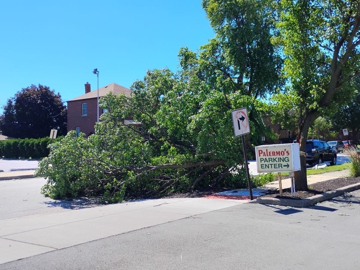 Disaster outreach center open at Oak Lawn Library to assist residents ...