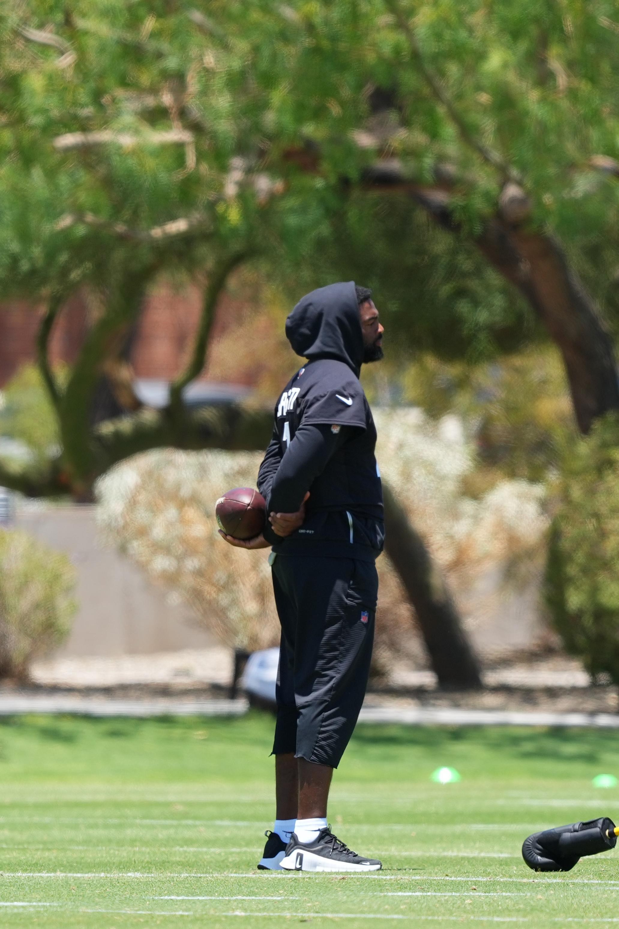 Arizona Cardinals fans think Jacoby Brissett deserves a slight increase
