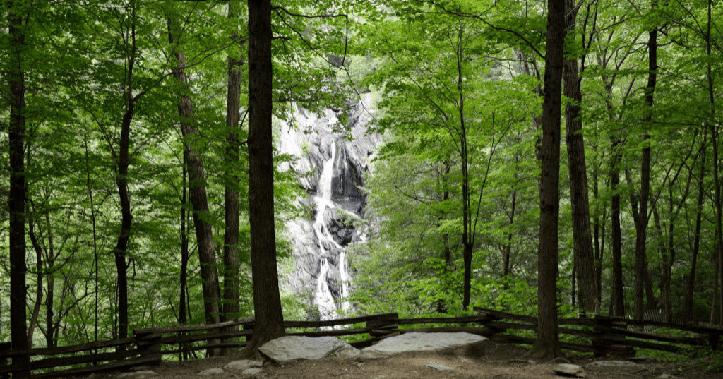 These 16 Connecticut state parks belong on every bucket list