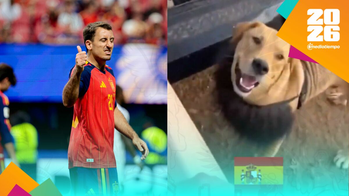 Memes: Oyarzabal no tocó el balón en 30 minutos, España se fue sin ...