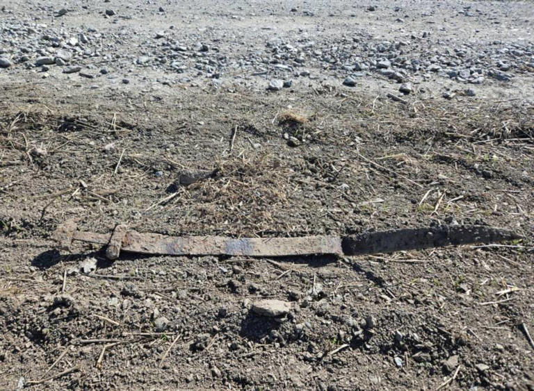 A six-year-old boy on a field trip just pulled a 1,300-year-old Viking ...
