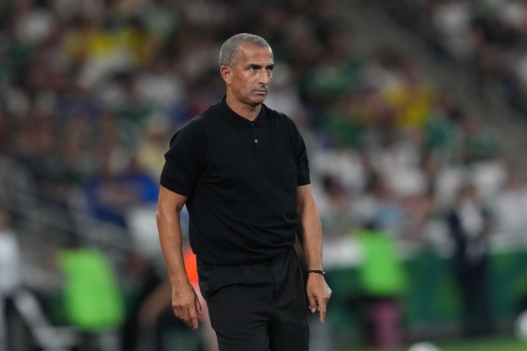 Tunisia firing manager after just one World Cup game