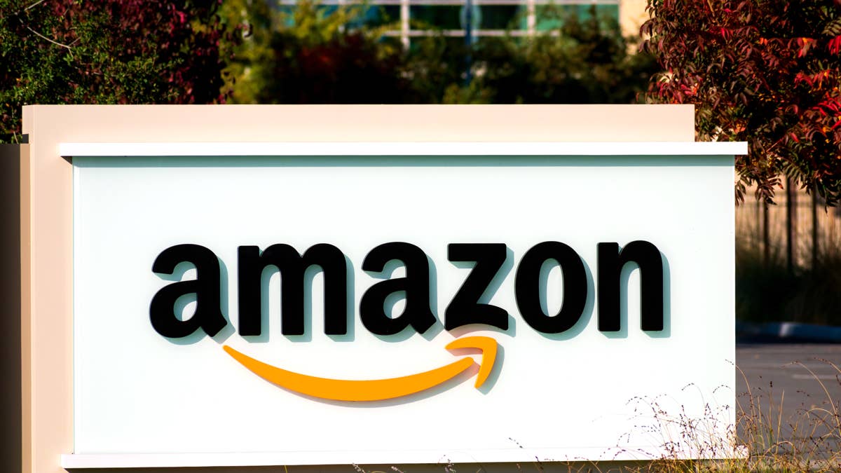 Amazon's 'must-have' cat stroller 'changed our life and family walkies'