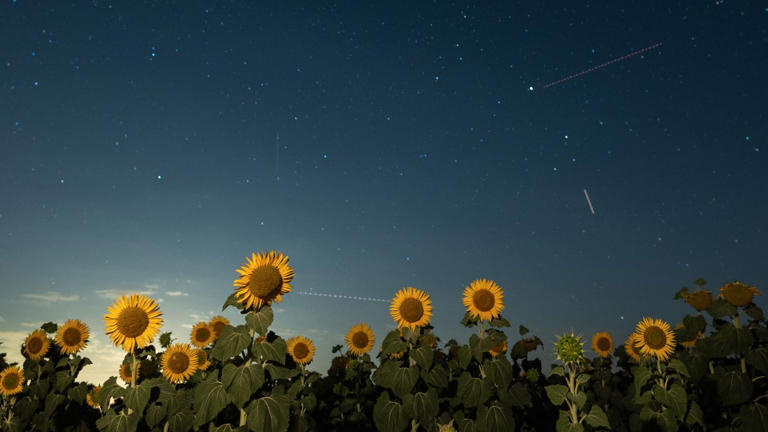 Summer solstice 2026: When does summer start in the Northern Hemisphere?