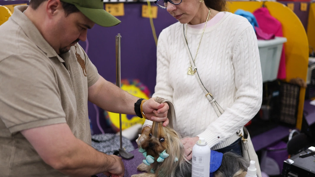 10 dog breeds facing declining popularity