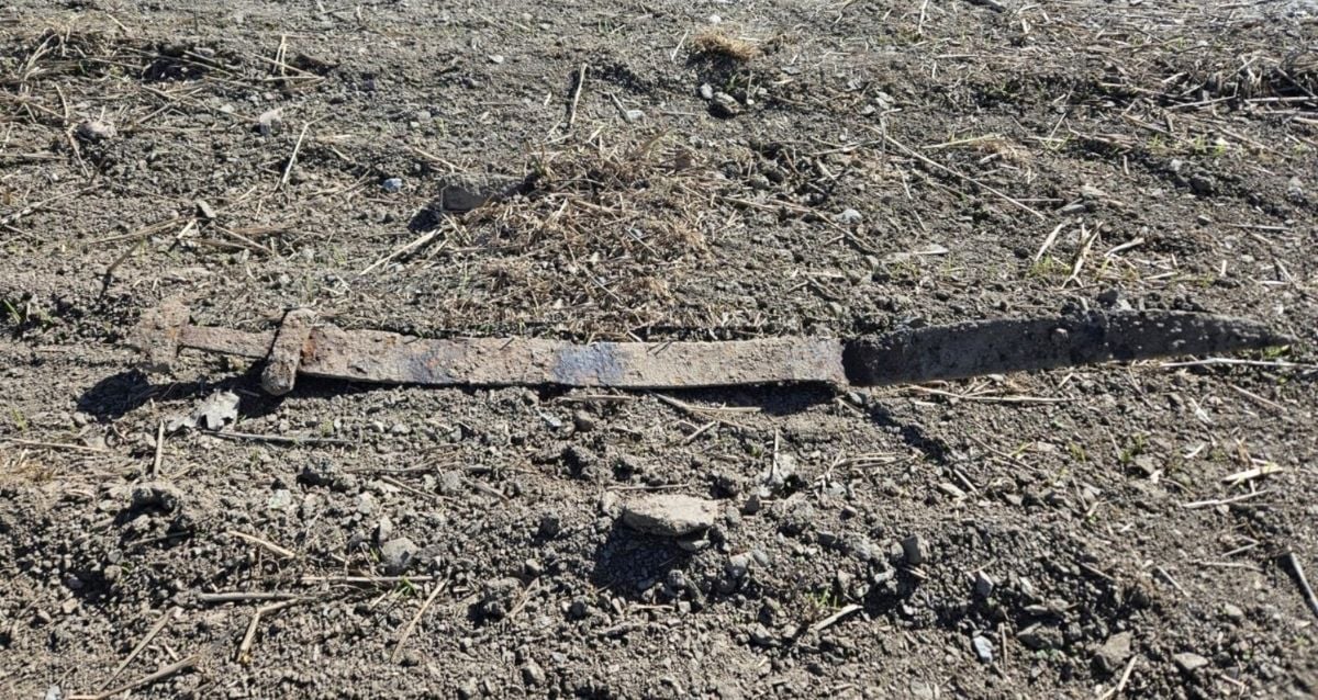 A six-year-old boy on a field trip just pulled a 1,300-year-old Viking ...