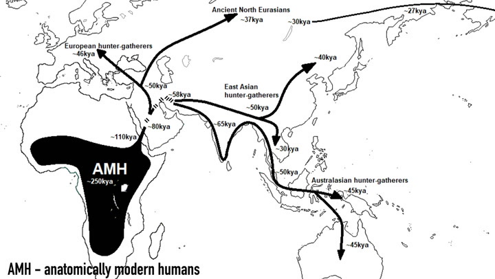 Out of Africa theory changed