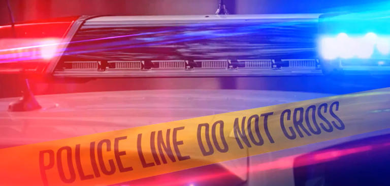 Man hallucinating on meth arrested after firing shots at Reno trailer park
