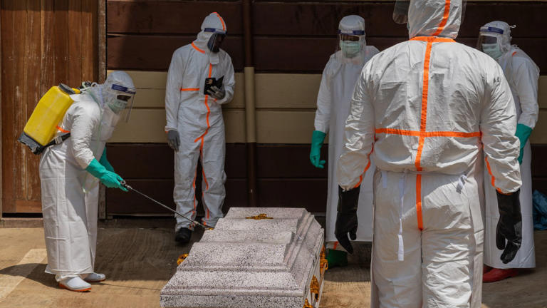 'First line of defence' has collapsed in biggest ever outbreak of rare ...