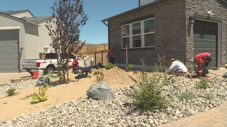 Landscaping crews battle near-triple-digit heat with shade, hydration ...