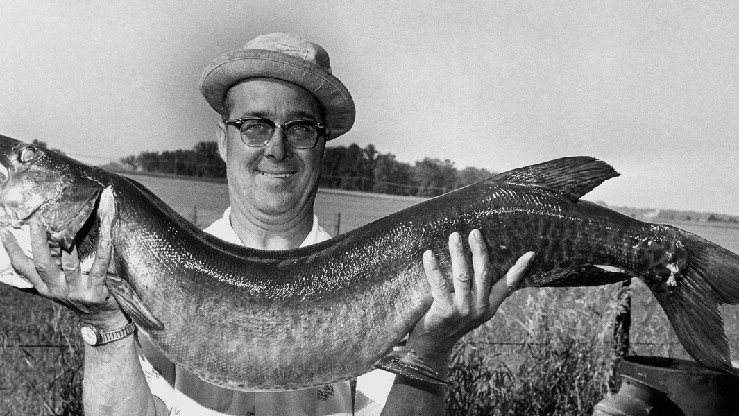 10 largest fish of the Great Lakes
