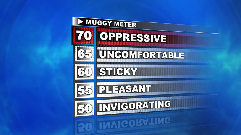 Dew point vs. humidity: What’s the difference and why does it matter in ...