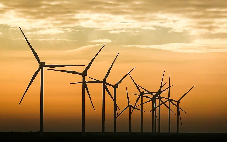 Study finds gulls avoid offshore wind farms even without fishing boats
