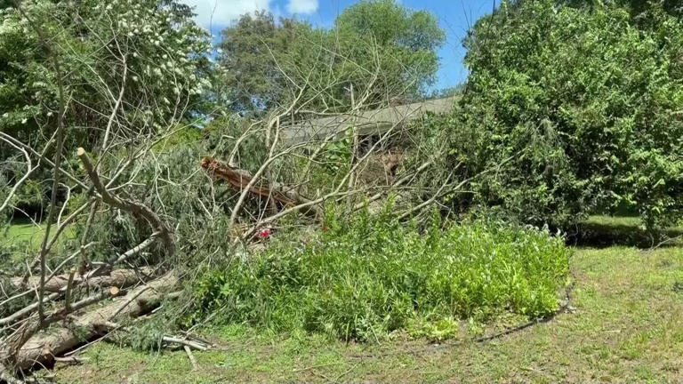 Storm sends trees through roofs of two North Chesterfield homes